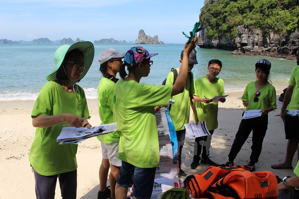 Tình nguyện viên gồng mình dọn rác thải ở Di sản Vịnh Hạ Long