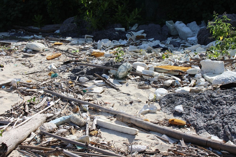 Tình nguyện viên gồng mình dọn rác thải ở Di sản Vịnh Hạ Long